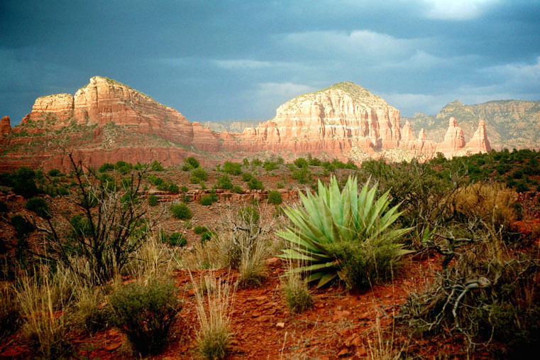 Sunlit Rocks Mural - Doug Nelson - Murals Your Way