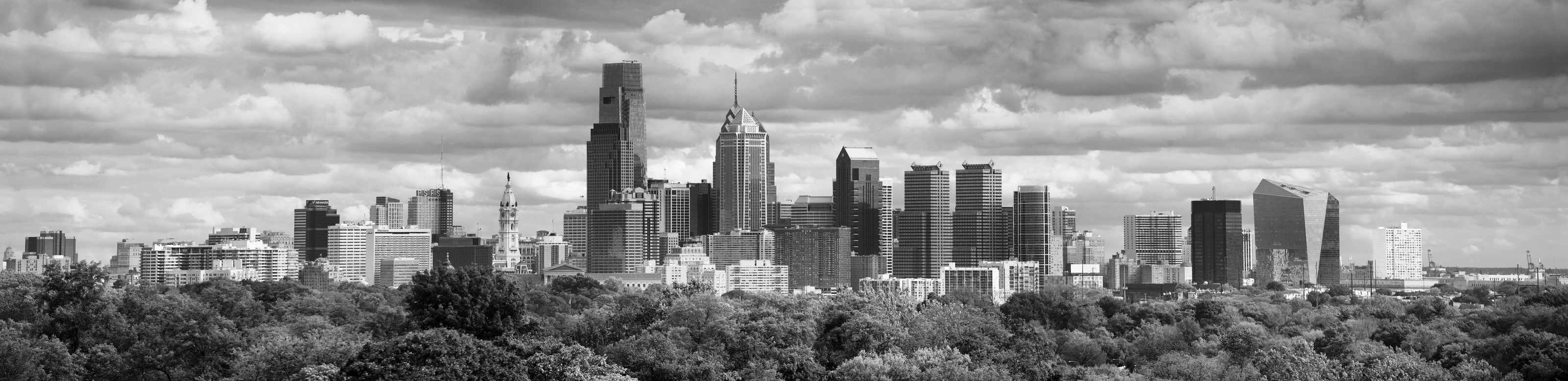 Philadelphia (Stein) Mural - Daniel Stein - Murals Your Way