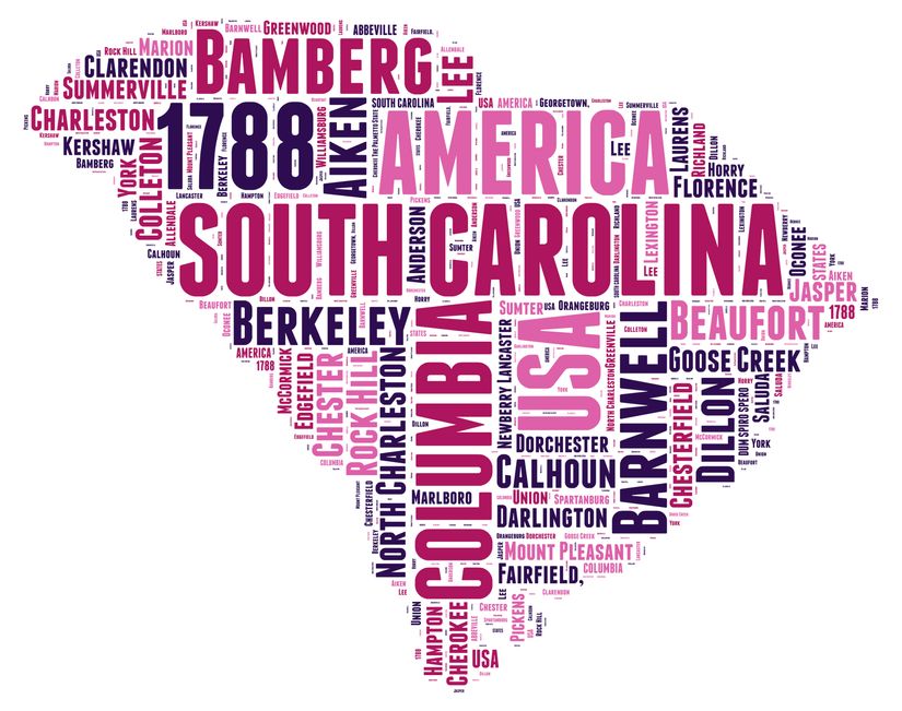 South Carolina Word Cloud Mural Wallpaper - Murals Your Way