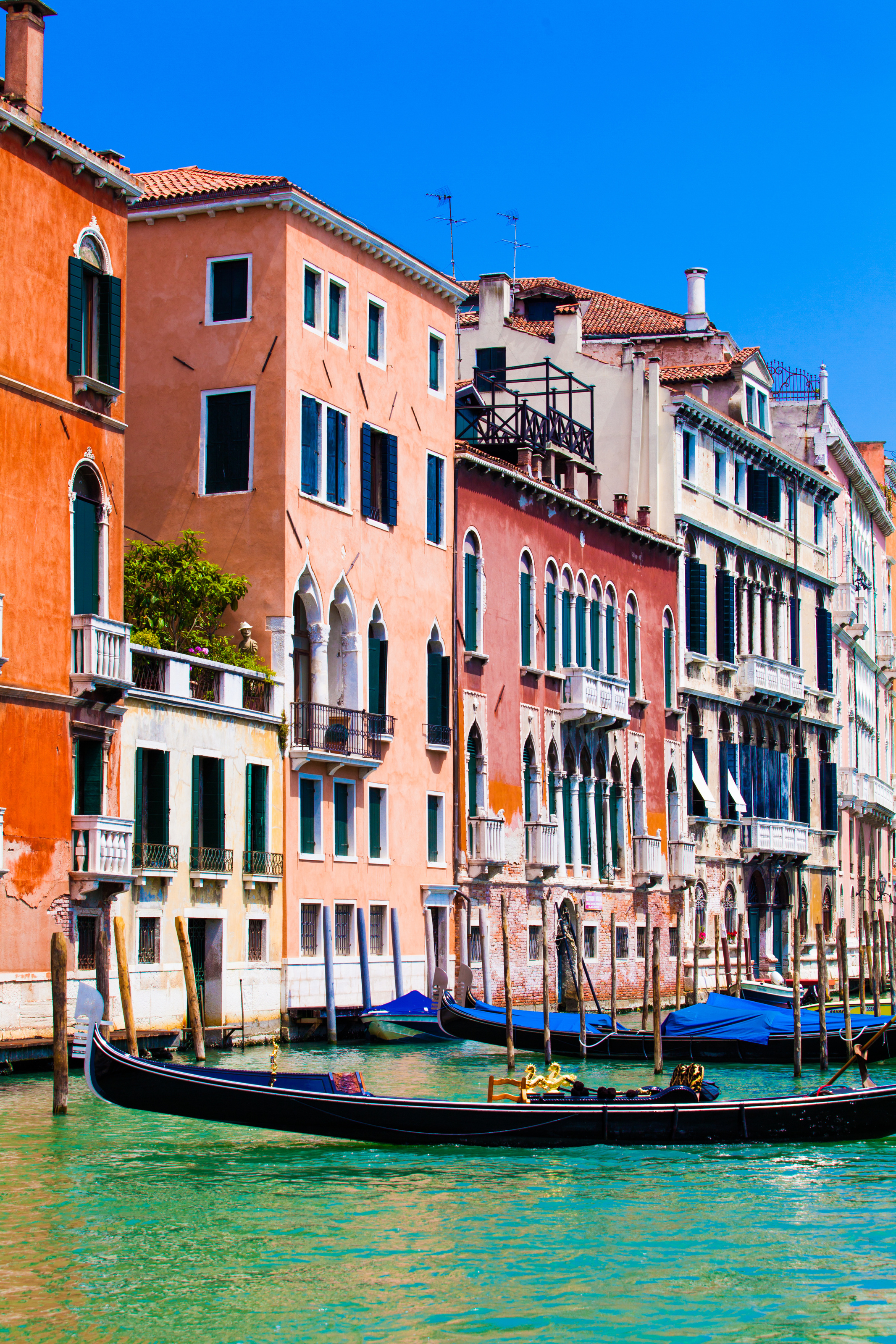 Venice Canal Wall Mural