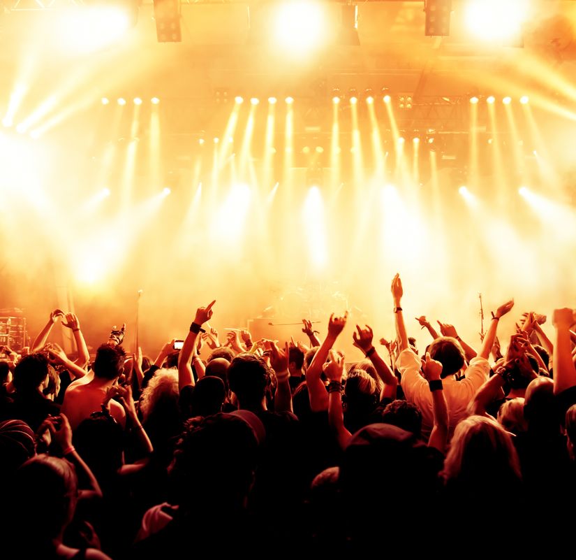 Concert Crowd Wall Mural - Murals Your Way