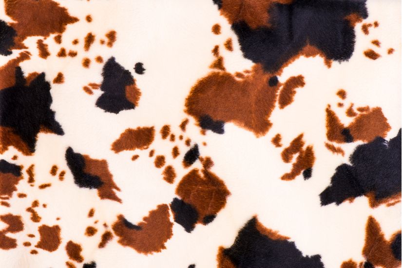 Cattle Hide Mural - Murals Your Way