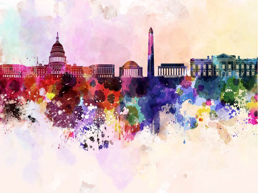Washington DC Skyline Watercolor Mural - Murals Your Way