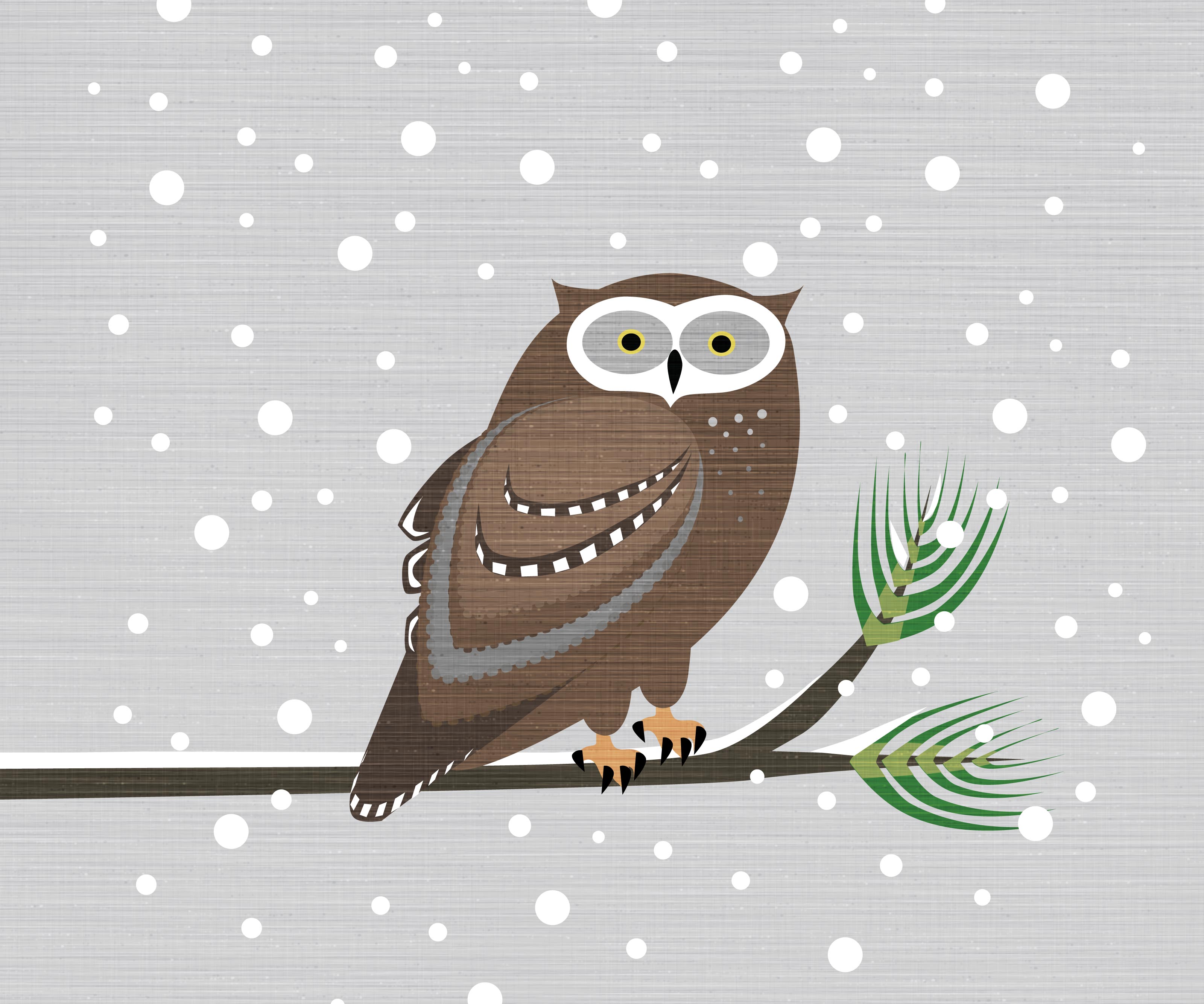 Winter Owl Mural - Murals Your Way