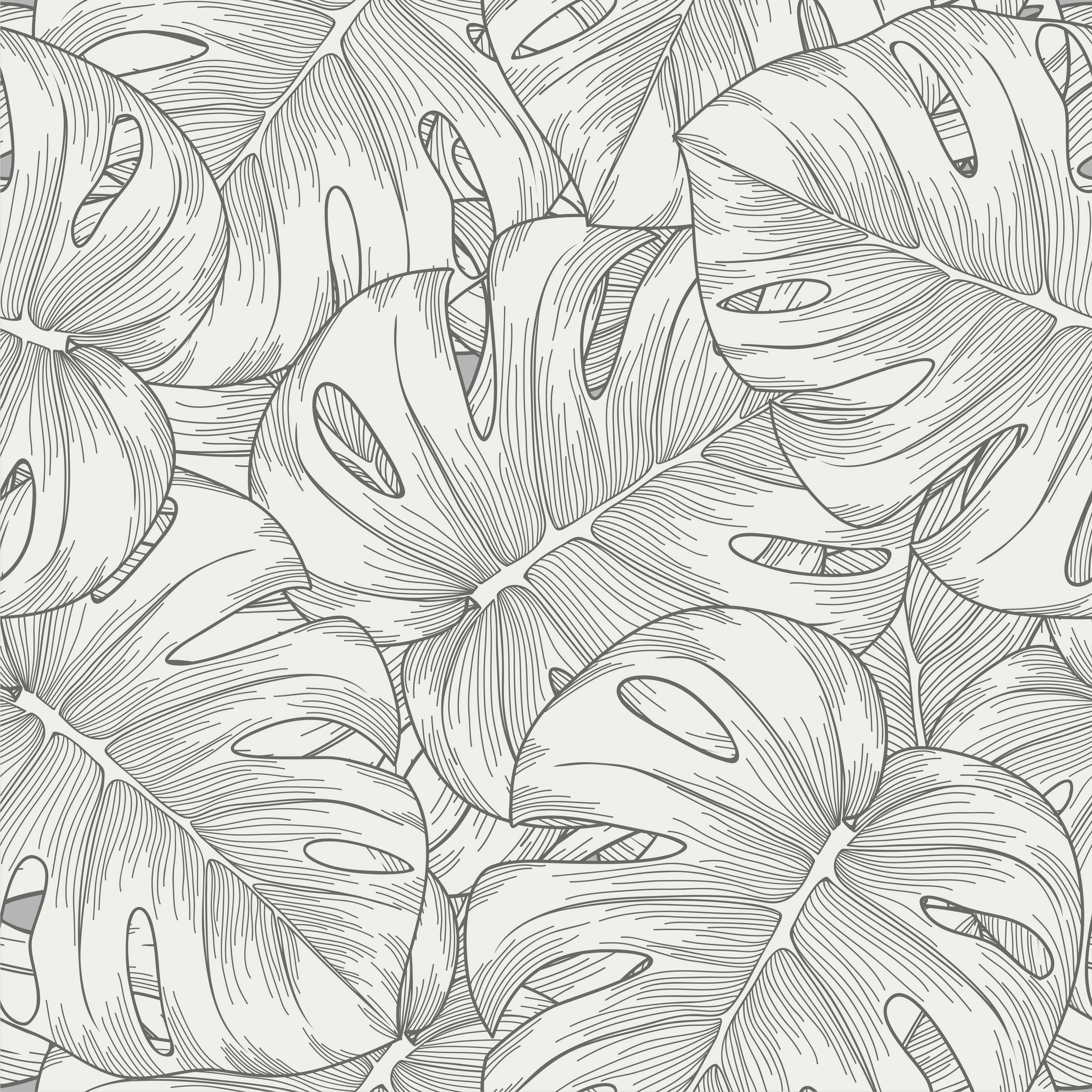 Monstera Leaf Line Pattern Mural - Murals Your Way