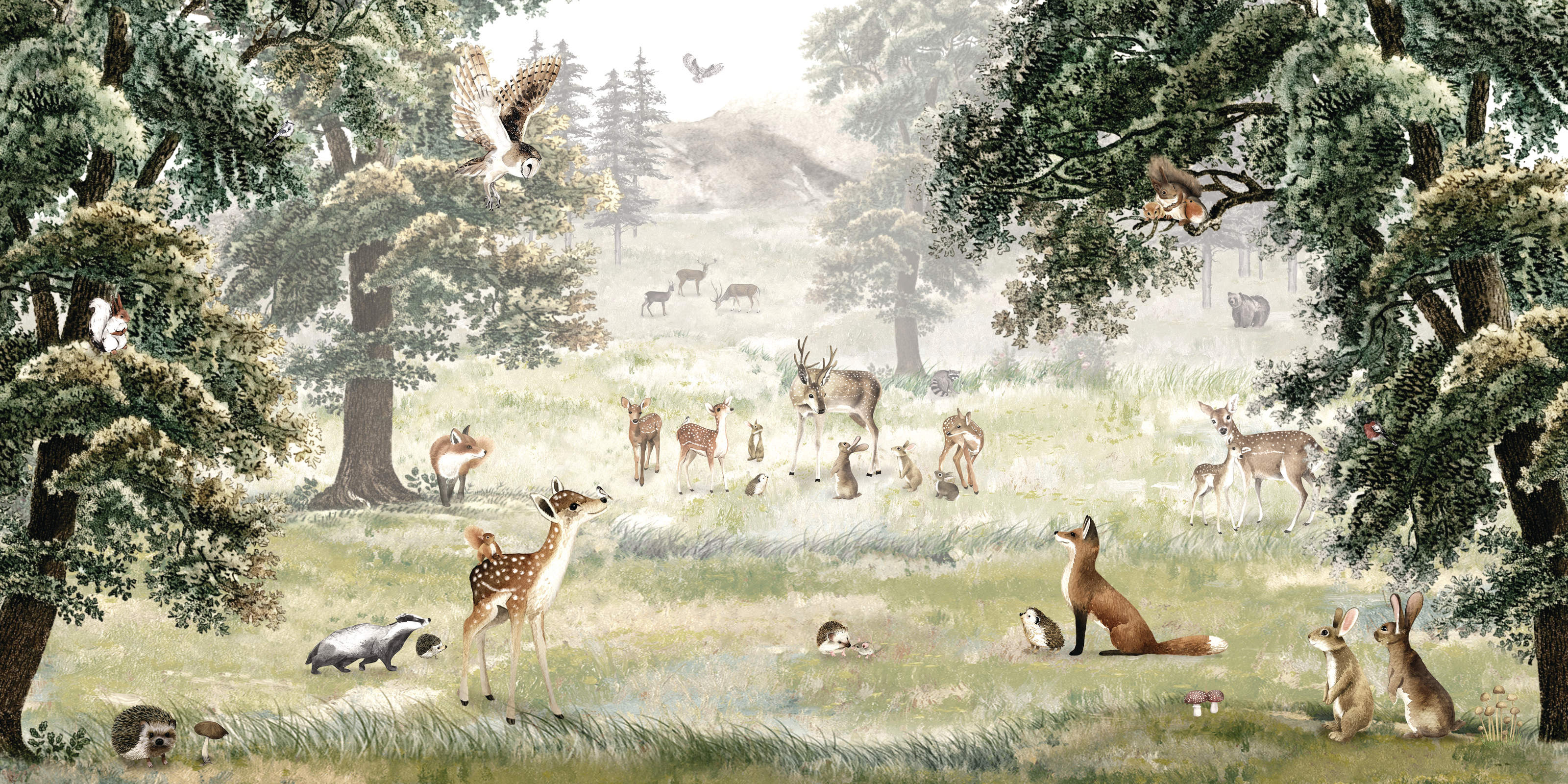 Animals Playing in the Forest Wall Mural - Murals Your Way
