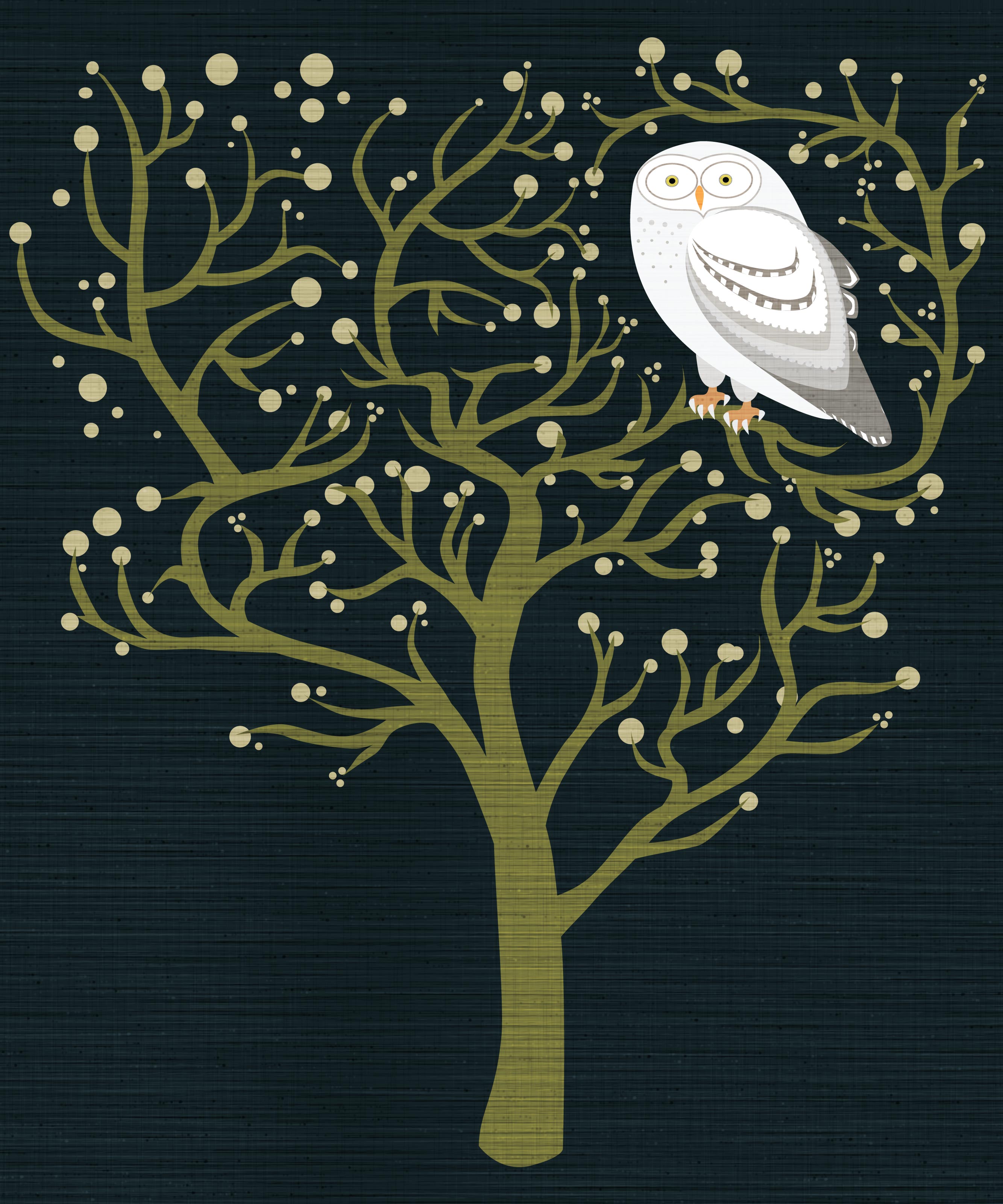 White Owl at Night Wall Mural - Murals Your Way