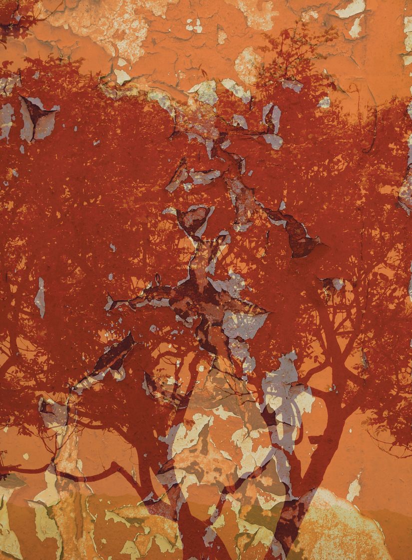 Double Urban Trees 2 Mural - Matthew Lew - Murals Your Way