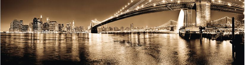 New York City Panorama - Sepia Wall Mural By Amri Designs - Murals Your Way