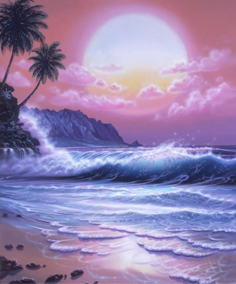 Pink Aloha Moon Mural - Steve Sundram - Murals Your Way