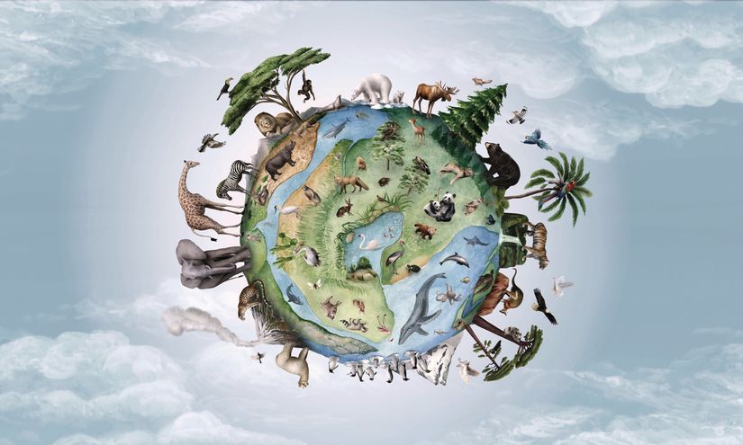 Animals Of Earth Wallpaper Mural - Murals Your Way