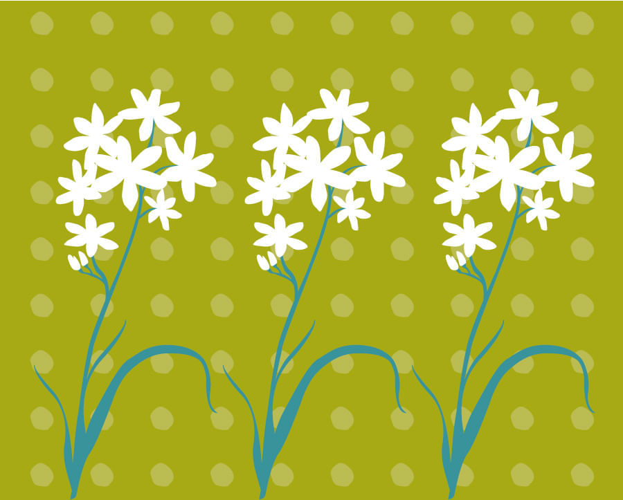 White Rows Mural By Simon & Kabuki - Murals Your Way