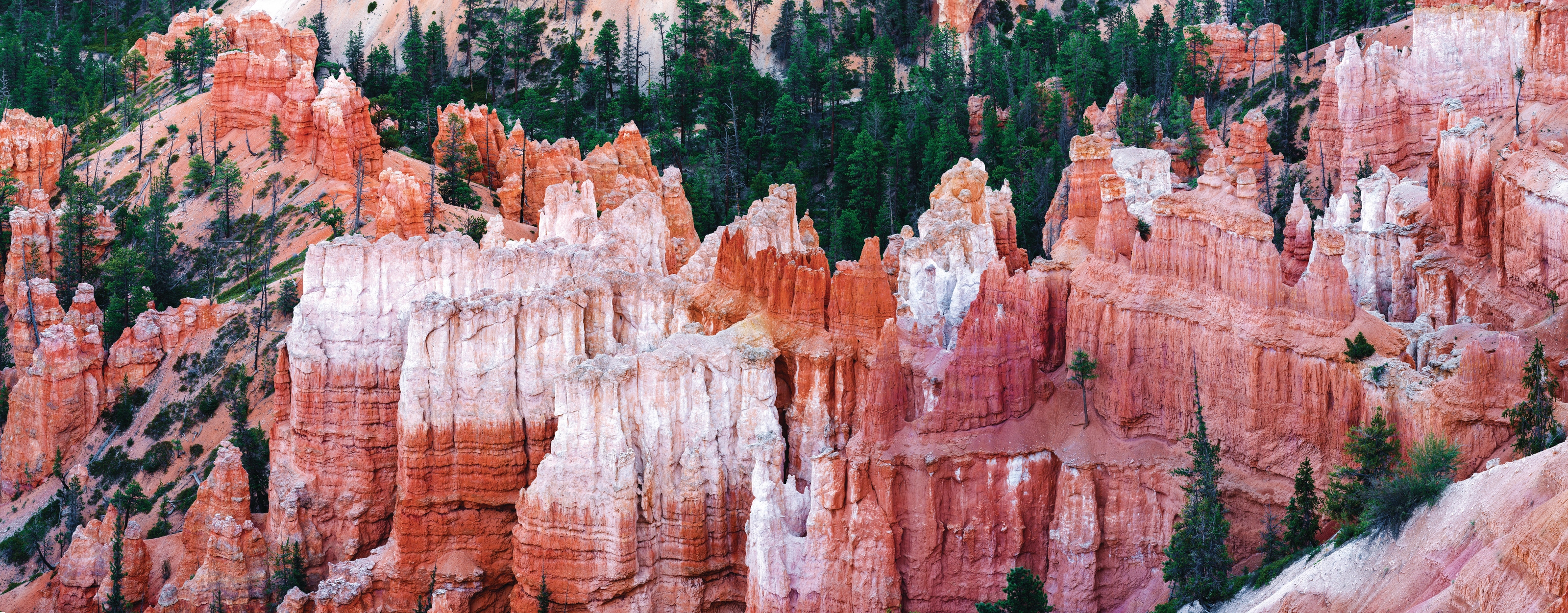 Bryce Canyon Rock Formation Wall Mural - Murals Your Way