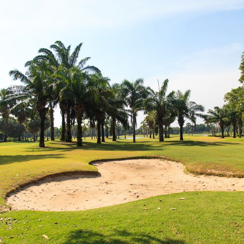 Palm Tree Golf Course Mural - Murals Your Way