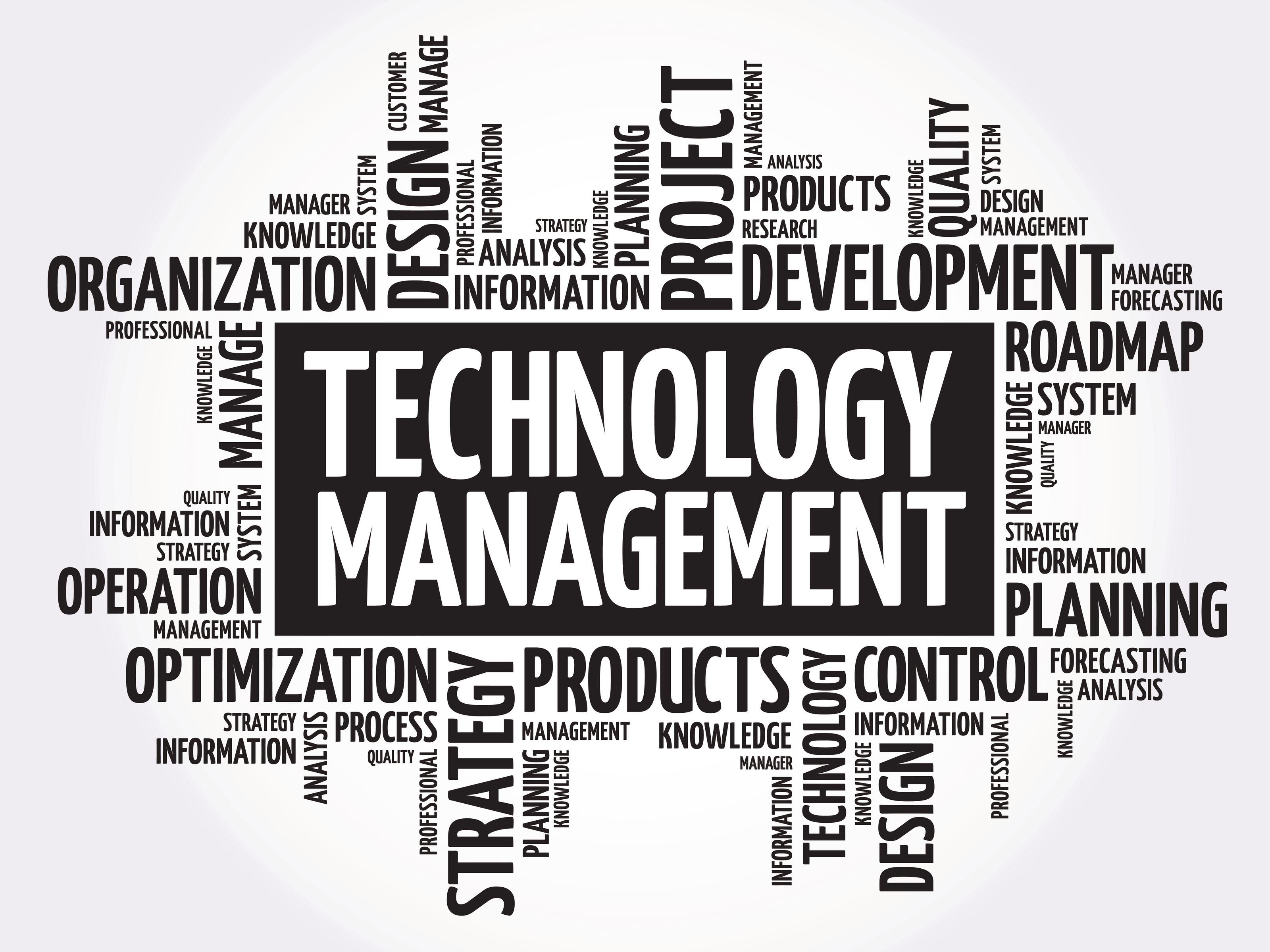Technology Management Word Cloud Mural - Murals Your Way