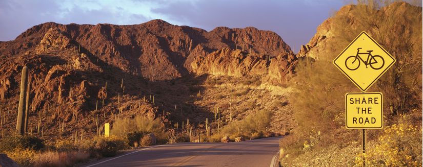 Gates Pass Road Tucson Mountain Park Wall Mural - Murals Your Way