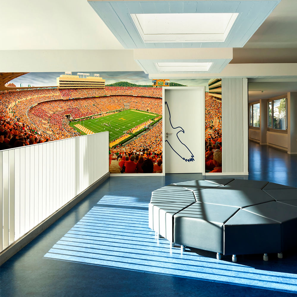 Tennessee Vs Georgia Mural By Craig B. Mitchell - Murals Your Way