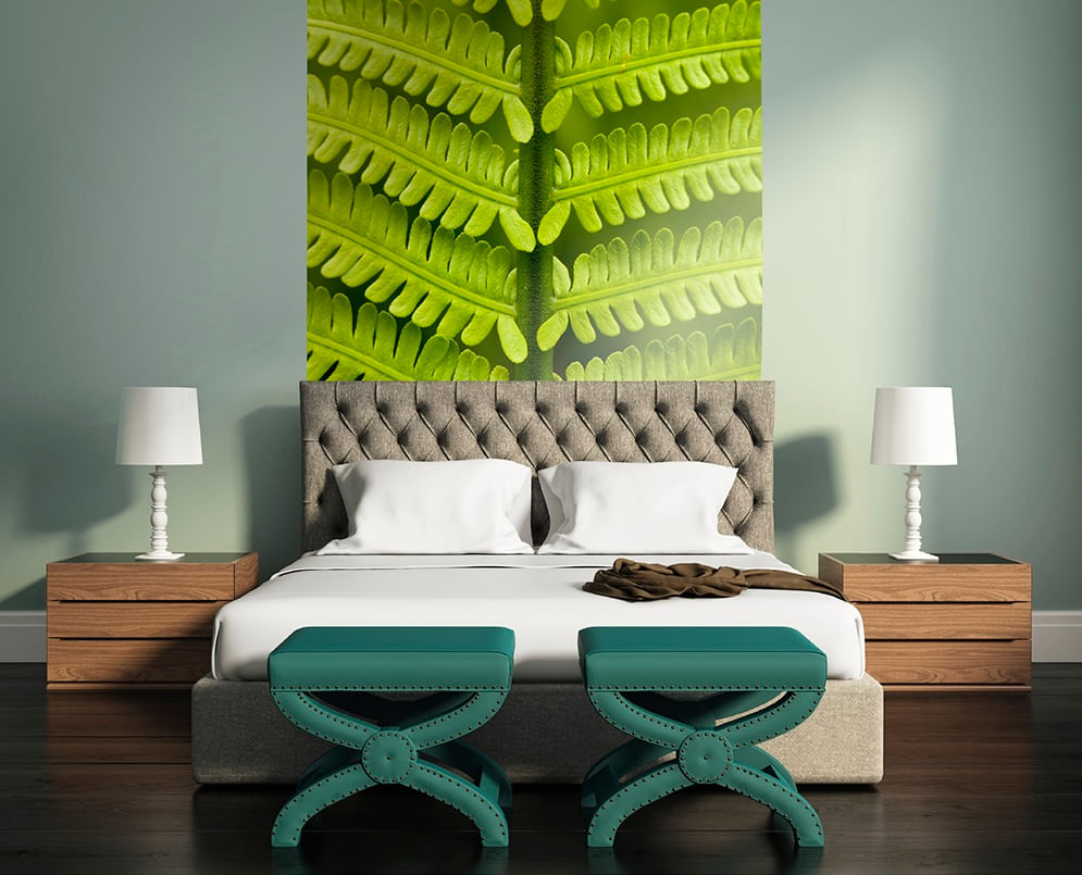 Sword Fern Details 2 Mural by Stephen Matera - Murals Your Way