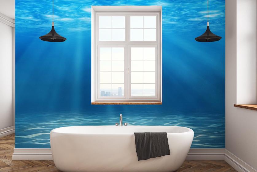 Tranquil Underwater Scene Wall Mural - Murals Your Way