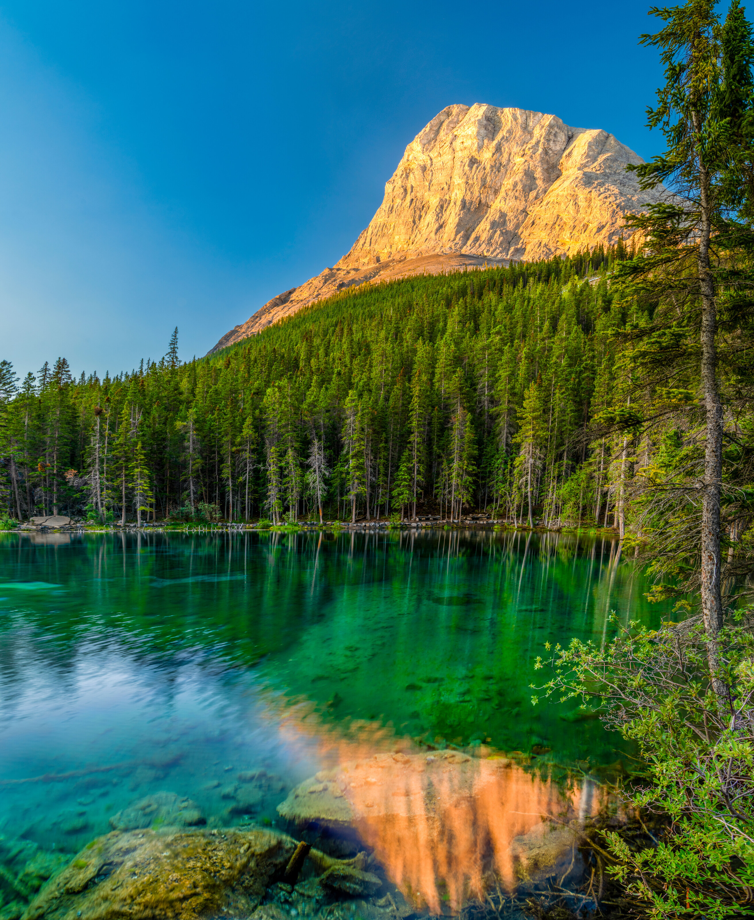 Ha Ling Peak Wall Mural - Murals Your Way