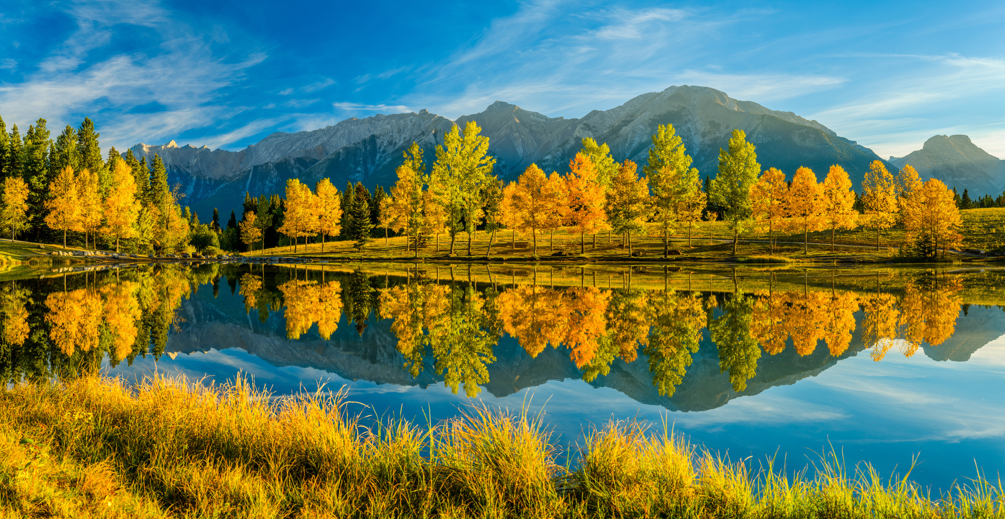 Autumn Colors At Quarry Lake Wall Mural - Murals Your Way