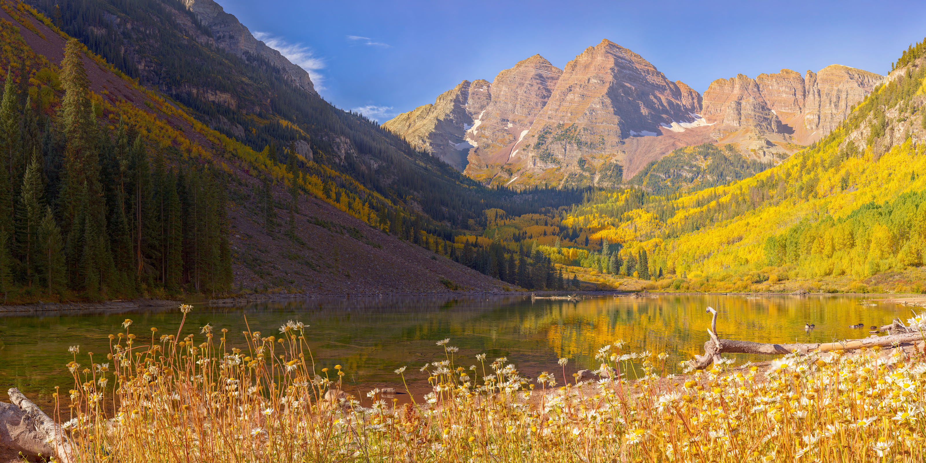 Maroon Bells Fall Colors And Daisies Wall Mural - Murals Your Way