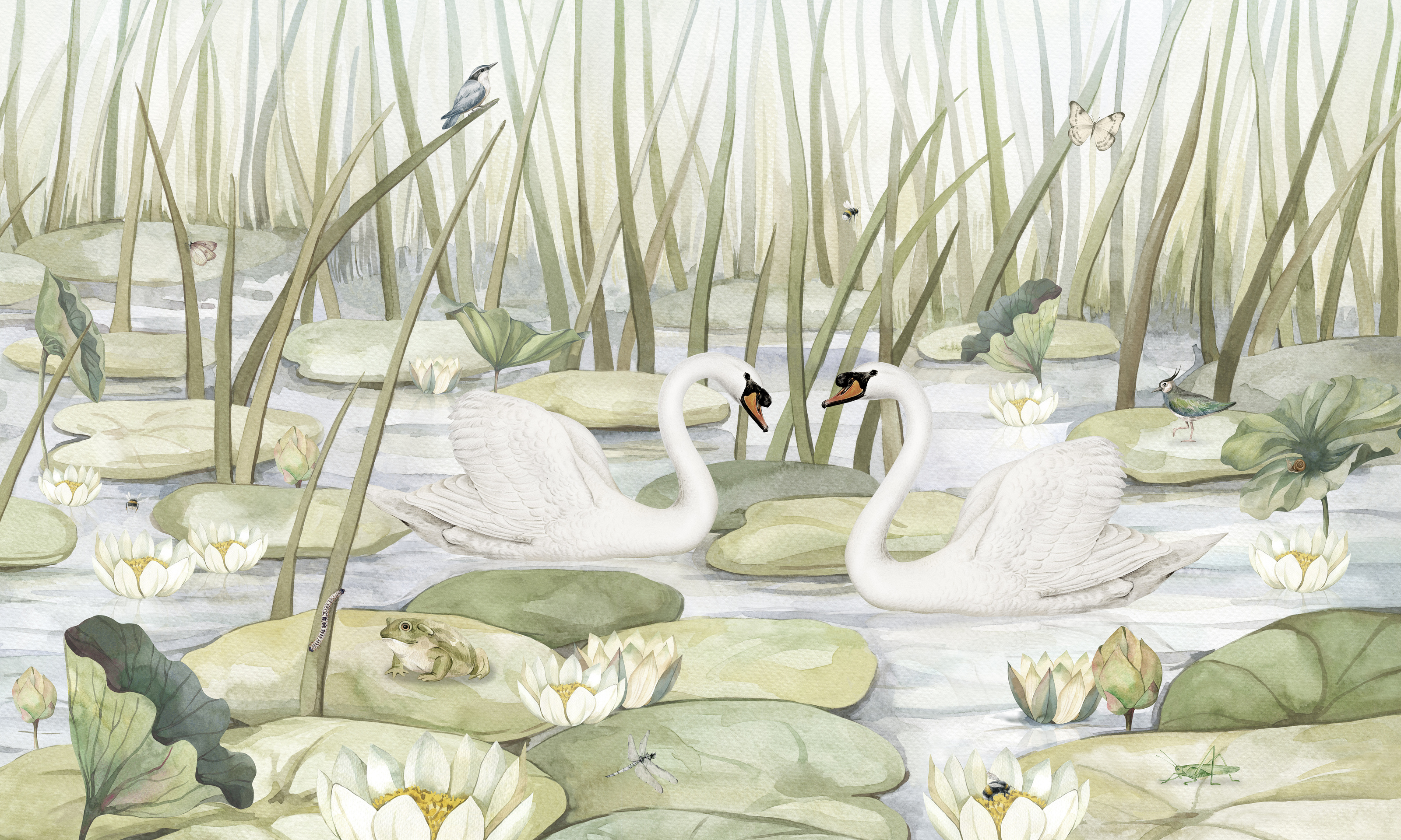 Spectacular Swans Wall Mural - Murals Your Way