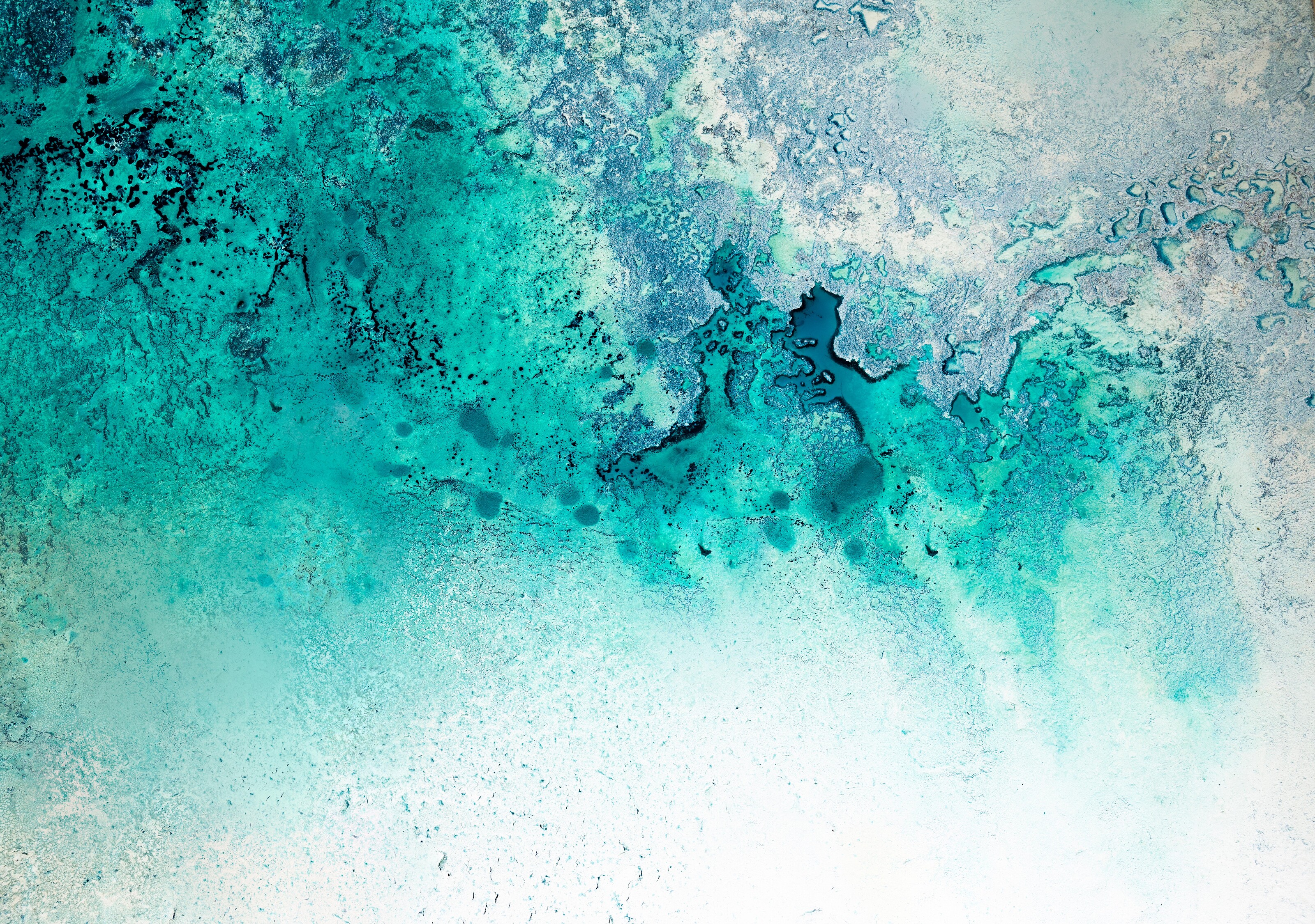 Turquoise Whispering Wall Mural - Murals Your Way