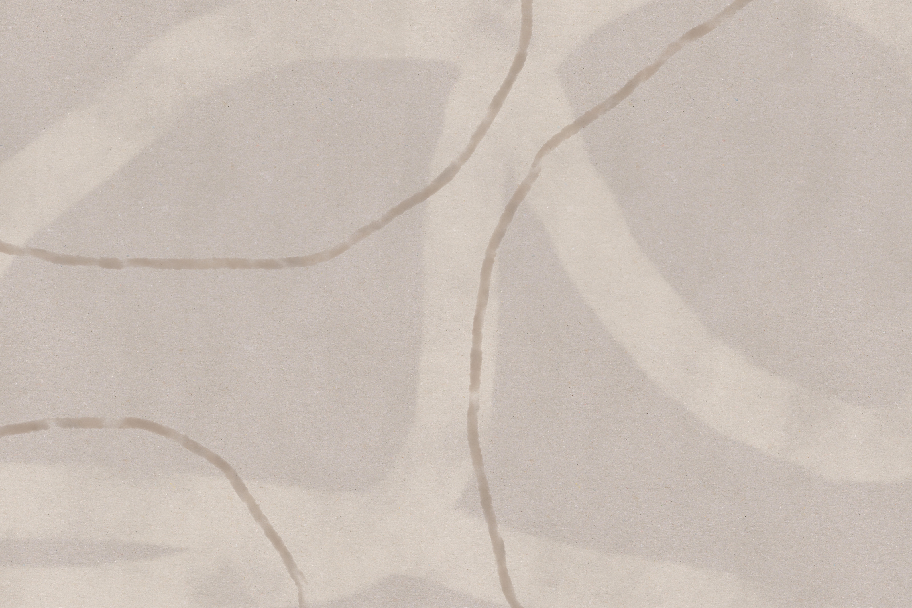 Neutral Abstract Line Wall Mural - Murals Your Way