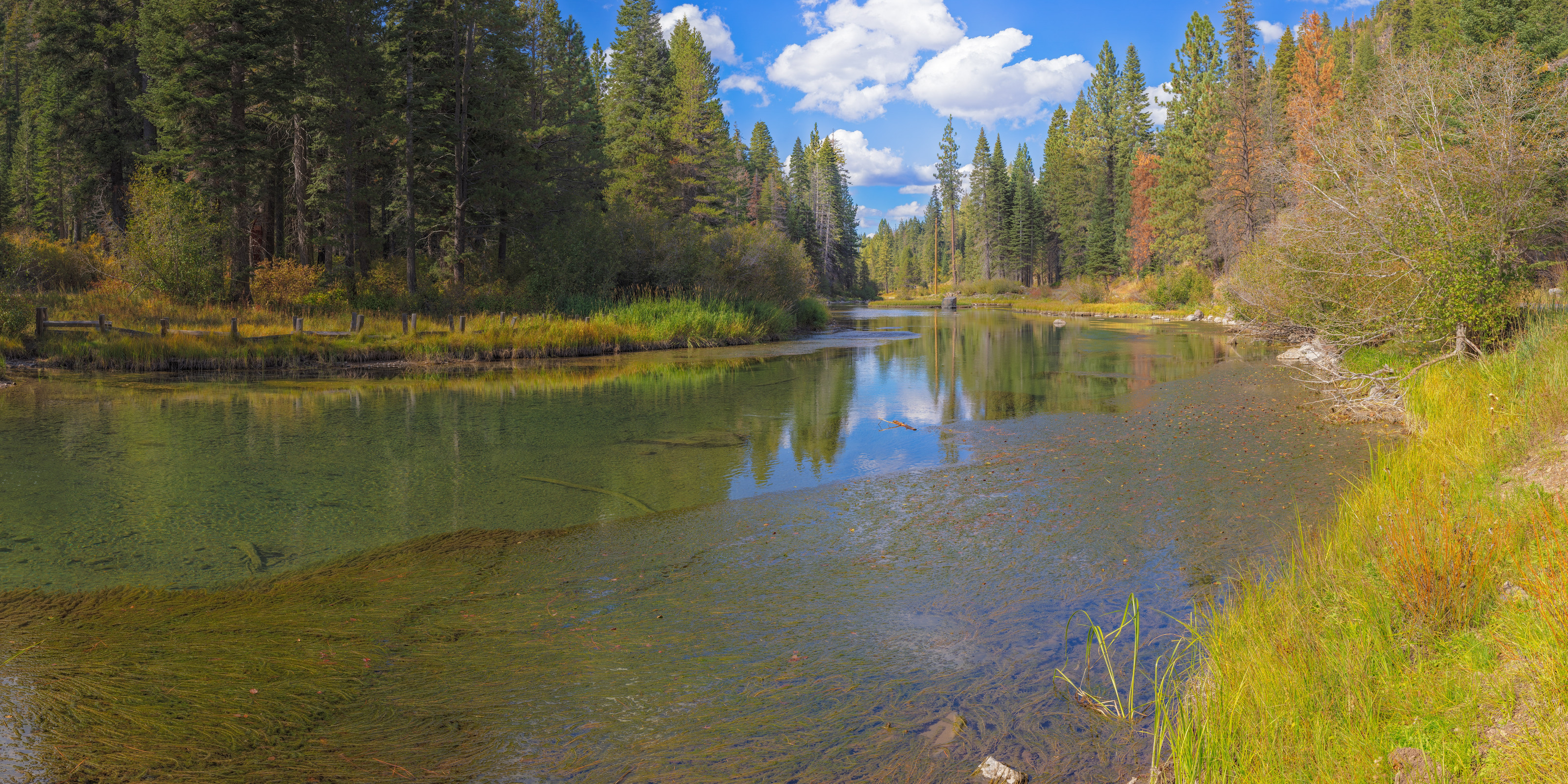 Truckee River Fall Reflections Wall Mural - Murals Your Way