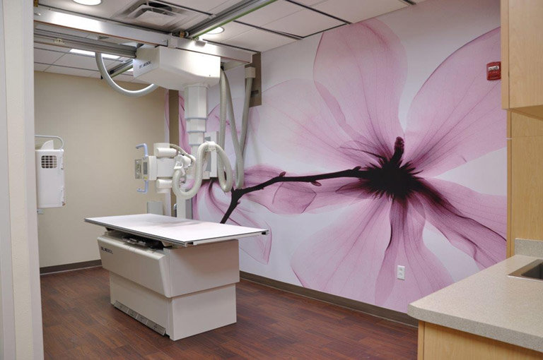 Blush Magnolia Wallpaper Mural in hospital